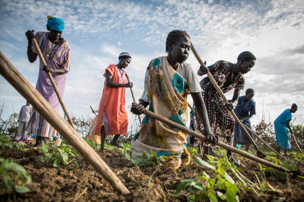 Tearfund - Randal Foundation